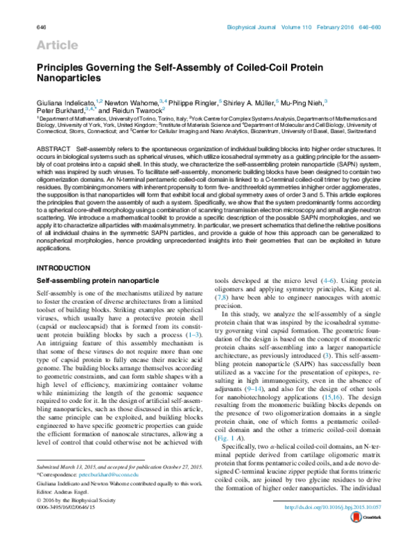 (PDF) Principles Governing the Self-Assembly of Coiled-Coil Protein ...