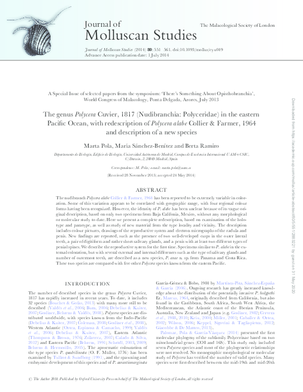 (PDF) The genus Polycera Cuvier, 1817 (Nudibranchia: Polyceridae) in ...