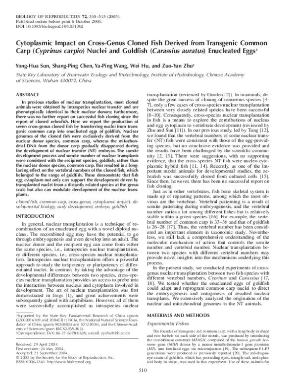 (PDF) Cytoplasmic Impact on Cross-Genus Cloned Fish Derived from ...