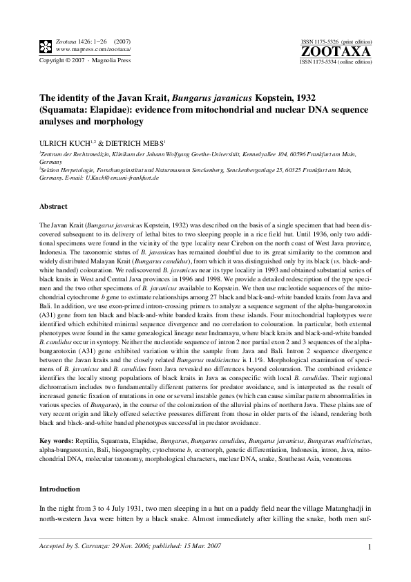 (PDF) The identity of the Javan Krait, Bungarus javanicus Kopstein ...