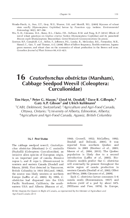 (PDF) Ceutorhynchus obstrictus (Marsham), cabbage seedpod weevil ...