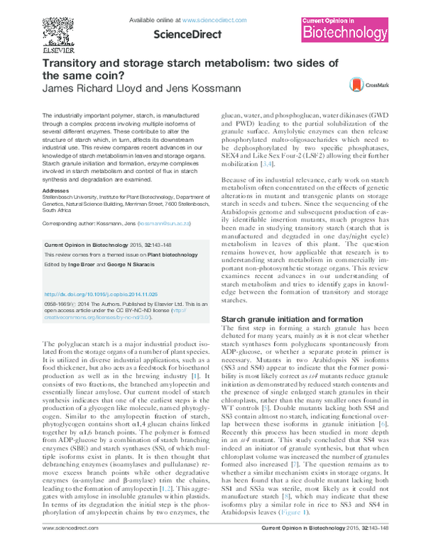 (PDF) Transitory and storage starch metabolism: two sides of the same coin?