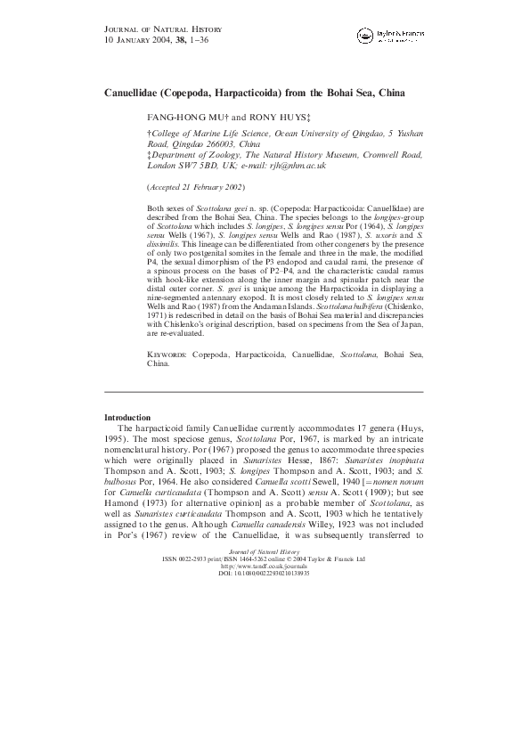 (PDF) Canuellidae (Copepoda, Harpacticoida) from the Bohai Sea, China