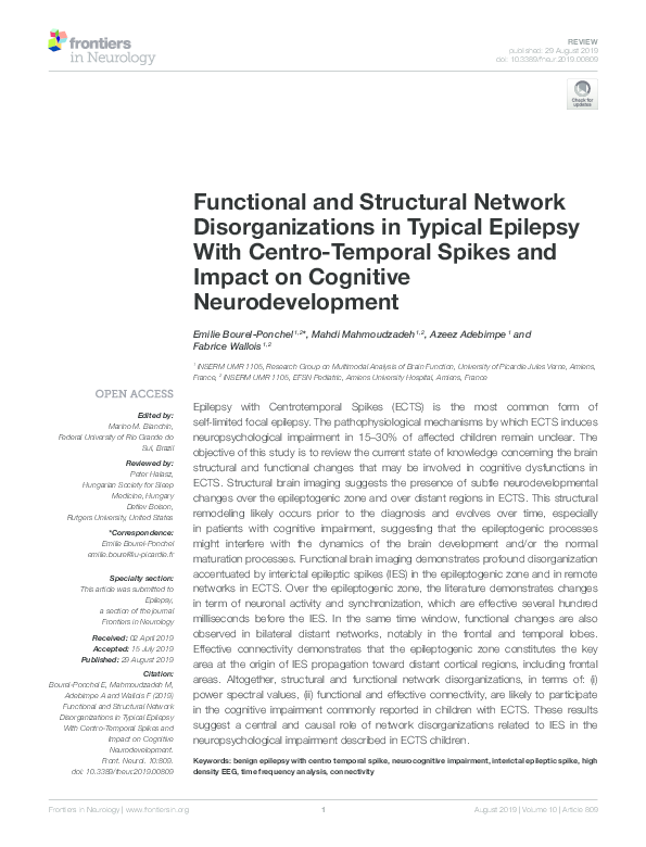 (PDF) Functional and Structural Network Disorganizations in Typical ...