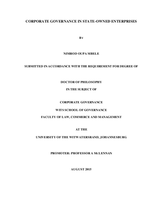 (PDF) Corporate Governance of State-Owned Enterprises