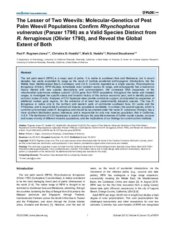 (PDF) The Lesser of Two Weevils: Molecular-Genetics of Pest Palm Weevil ...
