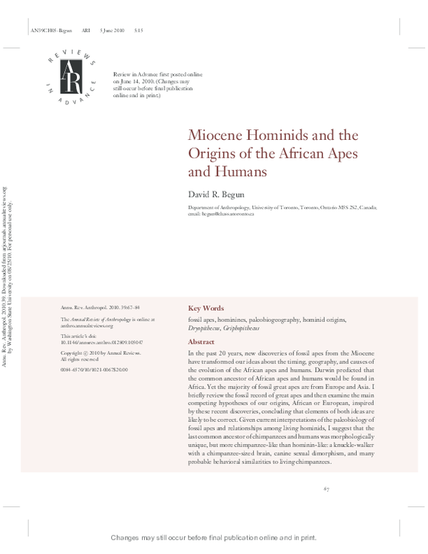 (PDF) Miocene Hominids and the Origins of the African Apes and Humans