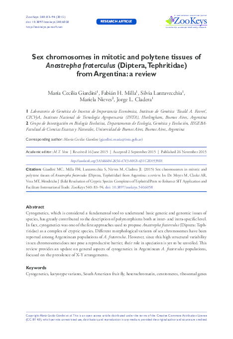 Pdf Sex Chromosomes In Mitotic And Polytene Tissues Of Anastrepha Fraterculus Diptera