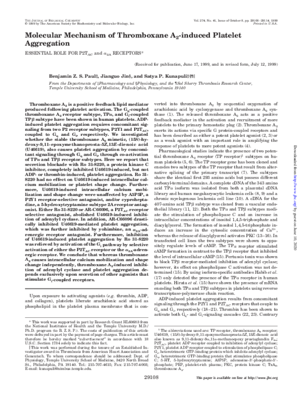 (PDF) Molecular Mechanism of Thromboxane A2-induced Platelet ...