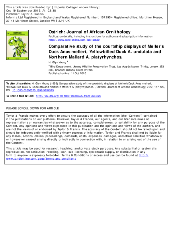 (PDF) Comparative study of the courtship displays of Meller's Duck Anas ...