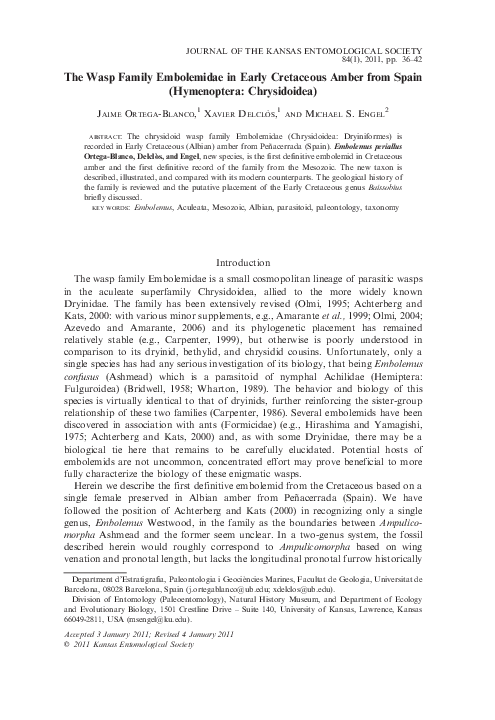 (PDF) The Wasp Family Embolemidae in Early Cretaceous Amber from Spain ...