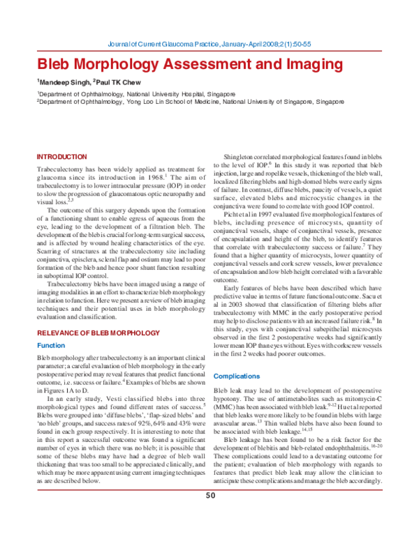 (PDF) Bleb Morphology Assessment and Imaging