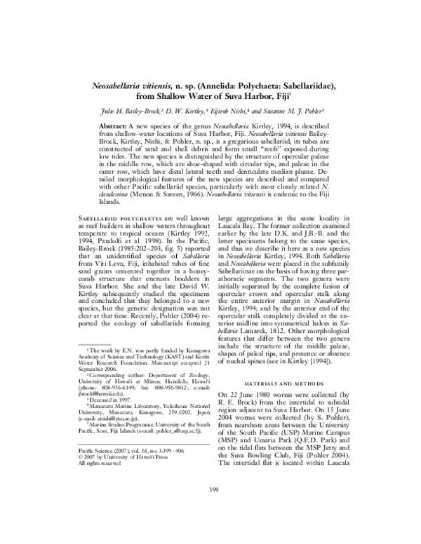 (PDF) Neosabellaria vitiensis, n. sp. (Annelida: Polychaeta ...