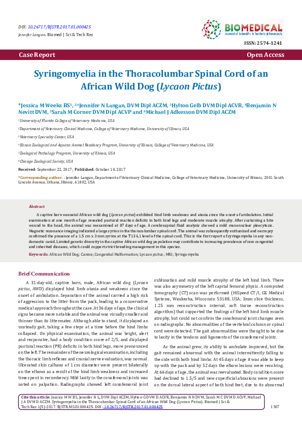 (PDF) Syringomyelia in the Thoracolumbar Spinal Cord of an African Wild ...