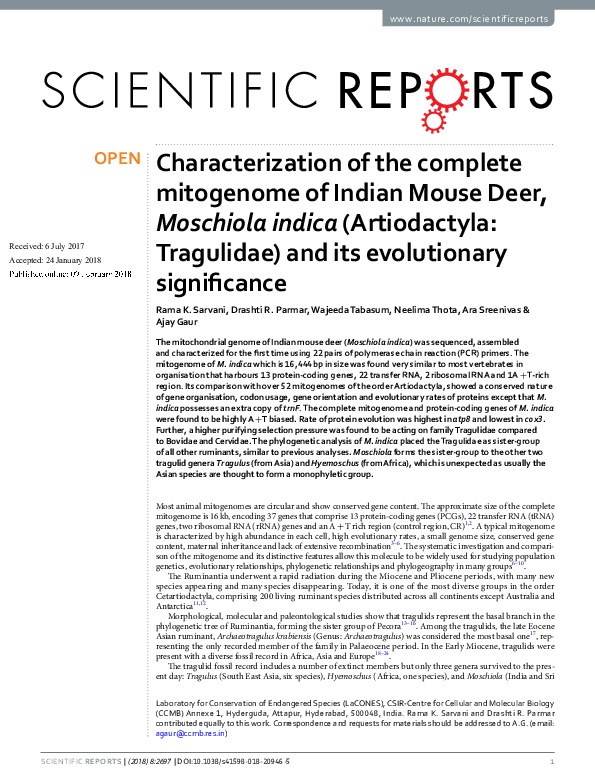 (PDF) Characterization of the complete mitogenome of Indian Mouse Deer ...