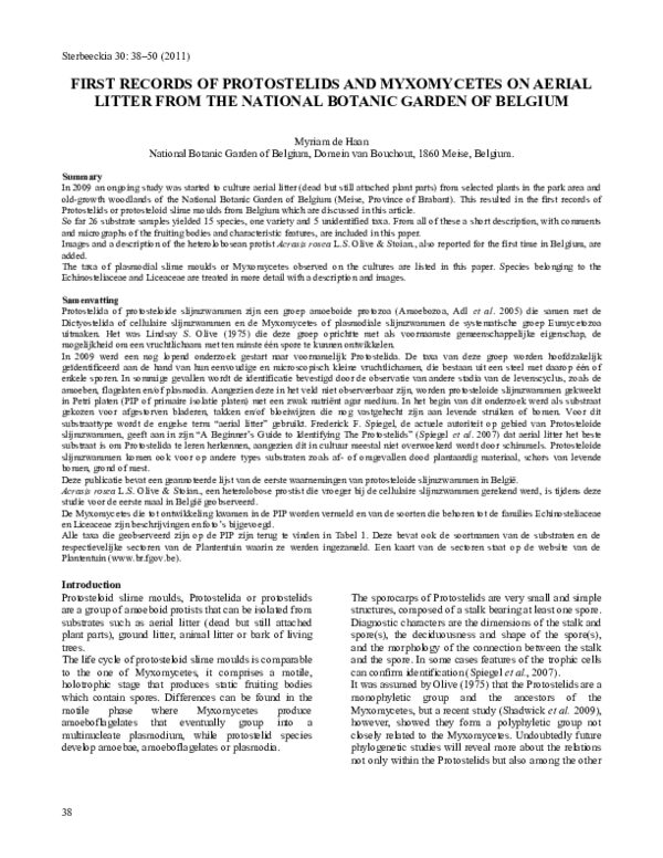 (PDF) First Records of Protostelids and Myxomycetes on Aerial Litter ...