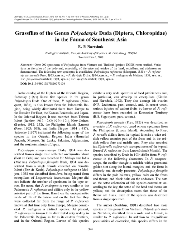 (PDF) Grassflies of the genus Polyodaspis Duda (Diptera, Chloropidae ...