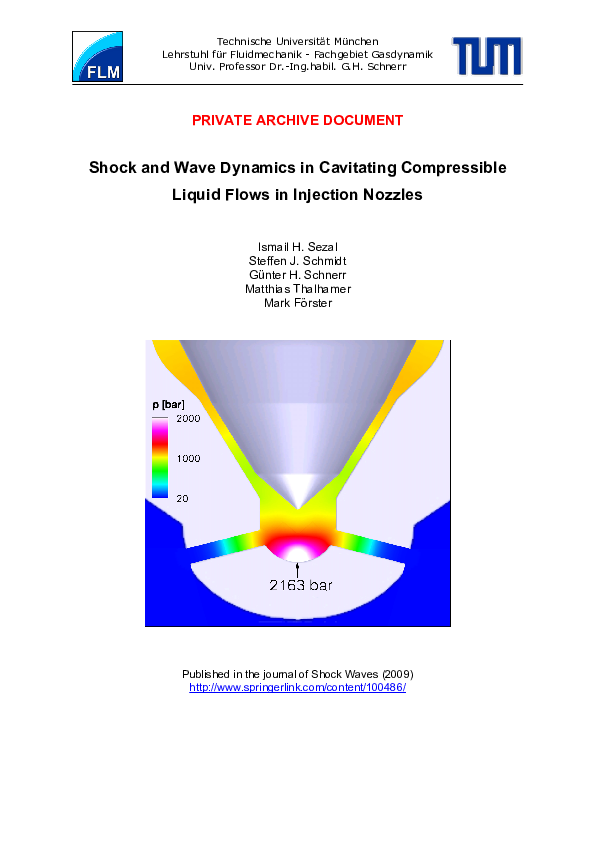 (PDF) Shock and wave dynamics in cavitating compressible liquid flows in injection nozzles
