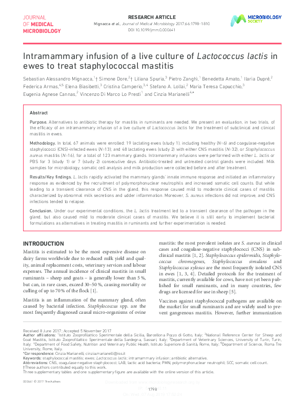 (PDF) Intramammary infusion of a live culture of Lactococcus lactis in ...