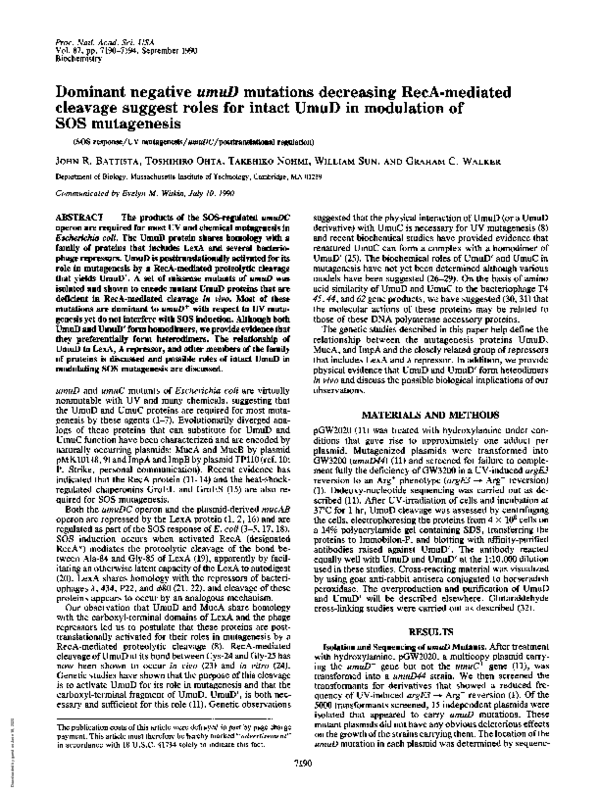 (PDF) Dominant negative umuD mutations decreasing RecA-mediated ...