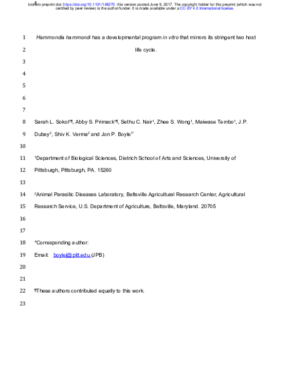 (PDF) Hammondia hammondi has a developmental program in vitro that ...