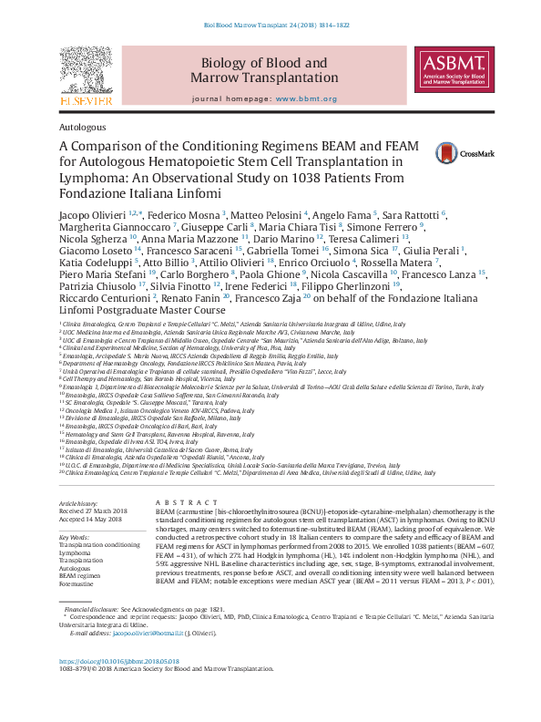 Beam Protocol Lymphoma - The Best Picture Of Beam