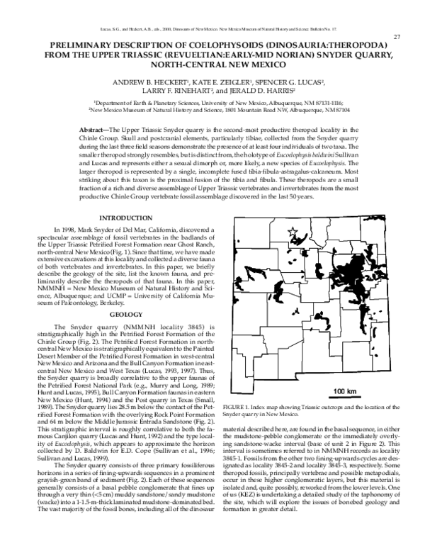 Preliminary description of coelophysoids (Dinosauria: Theropoda) from ...