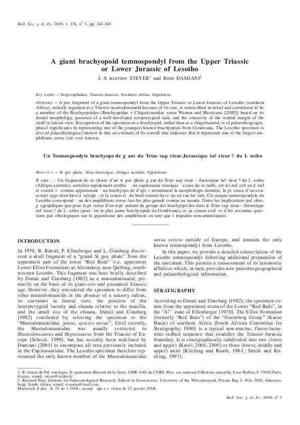 (PDF) A giant brachyopoid temnospondyl from the Upper Triassic or Lower ...