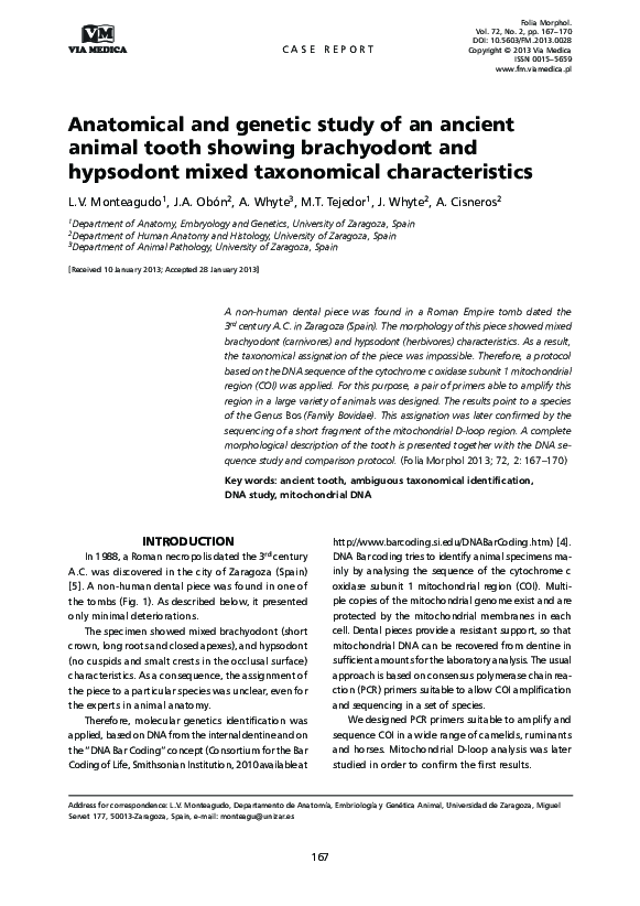 (PDF) Anatomical and genetic study of an ancient animal tooth showing ...