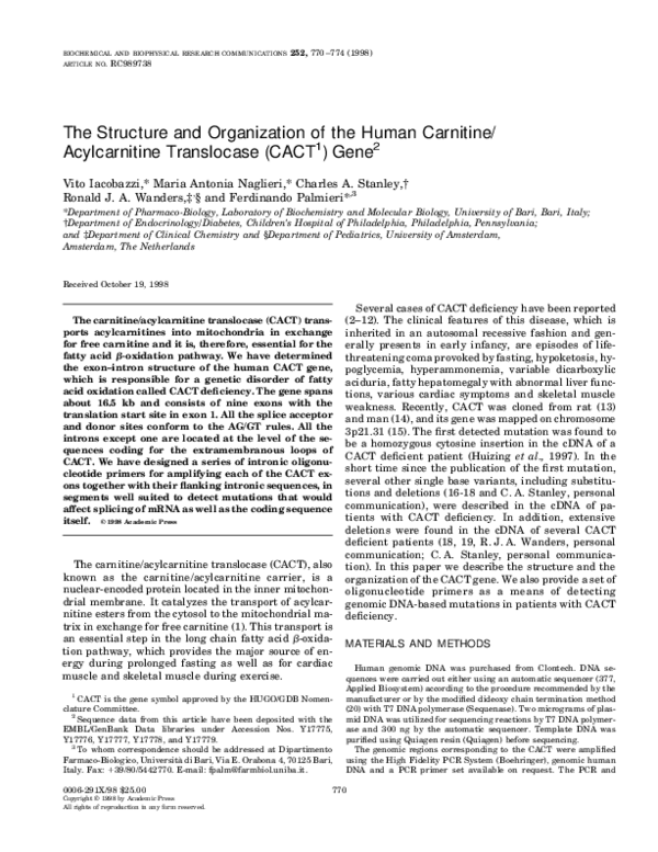 (PDF) The Structure and Organization of the Human Carnitine ...
