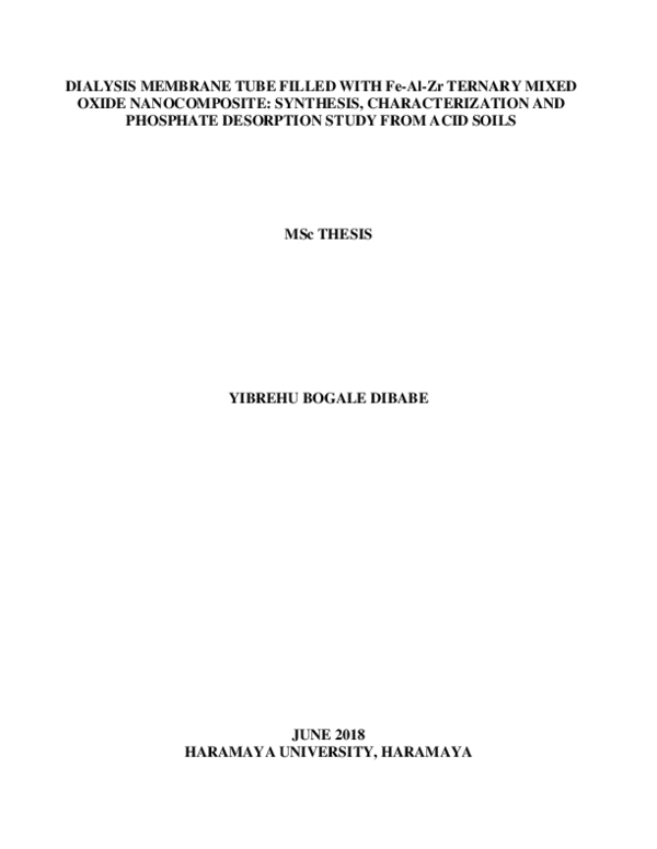 (PDF) MSc Thesis