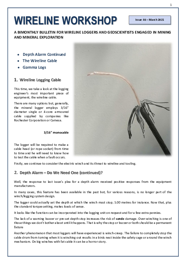 (PDF) Wireline Workshop Bulletin: Issue 46 - March 2021