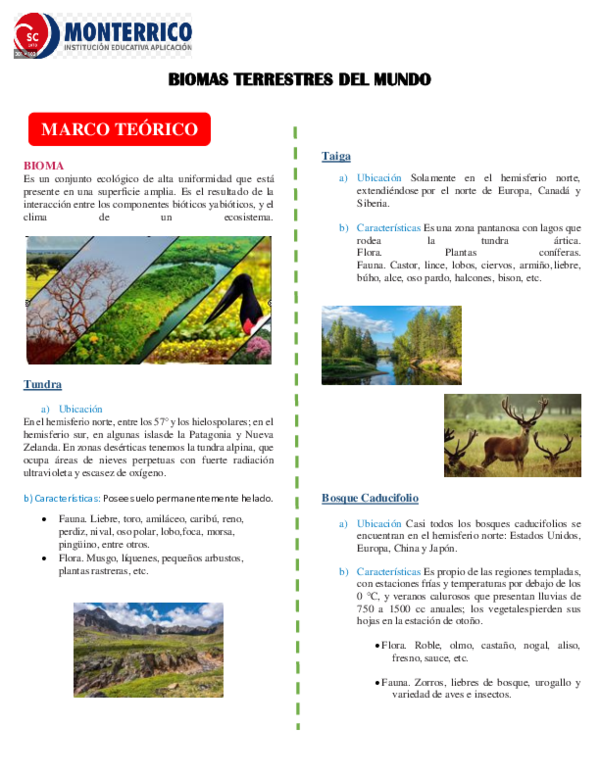 (PDF) BIOMAS TERRESTRES DEL MUNDO BIOMA