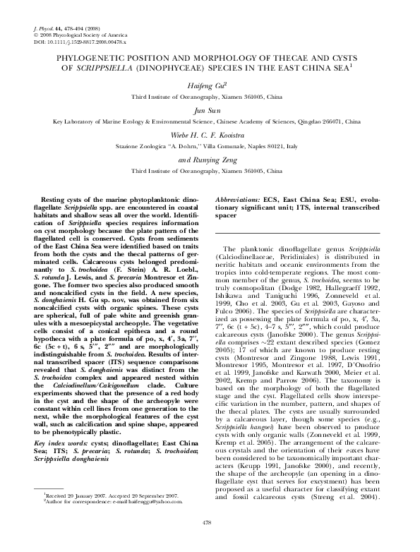 (PDF) Phylogenetic Position and Morphology of Thecae and Cysts of ...