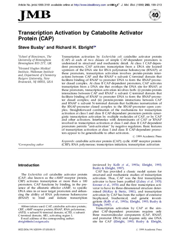 (PDF) Transcription activation by catabolite activator protein (CAP)
