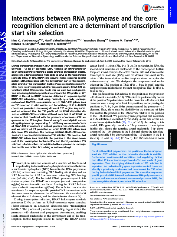 (PDF) Interactions between RNA polymerase and the core recognition ...