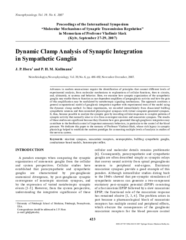 (PDF) Dynamic clamp analysis of synaptic integration in sympathetic ganglia