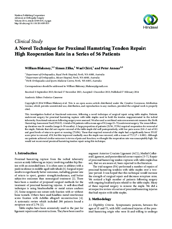(PDF) A Novel Technique for Proximal Hamstring Tendon Repair: High ...