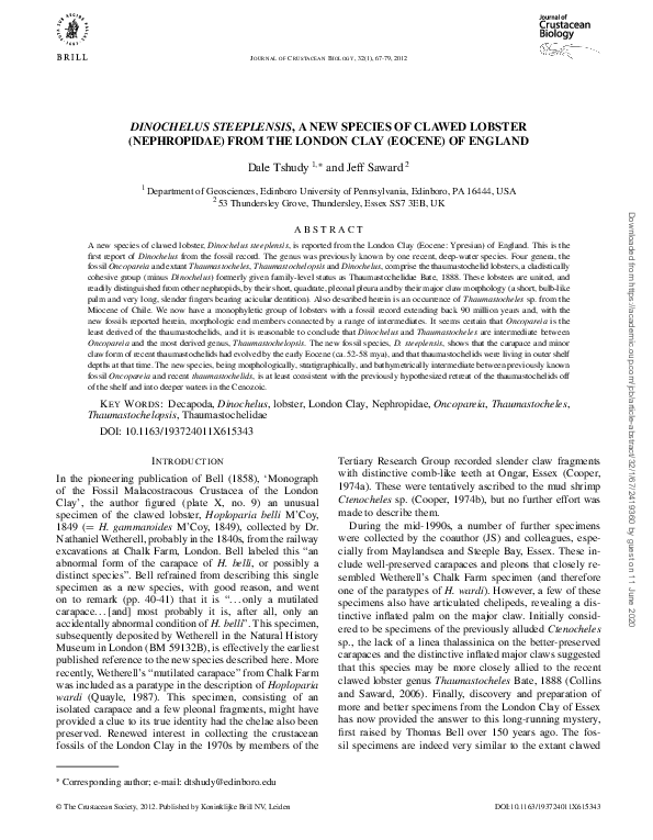(PDF) Dinochelus steeplensis, a New Species of Clawed Lobster ...