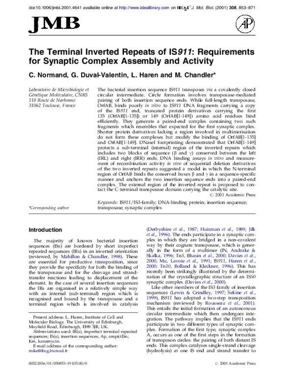 (PDF) The terminal inverted repeats of IS911: requirements for synaptic ...