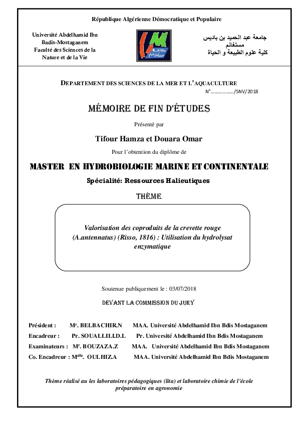 (PDF) MEMOIRE FINAL