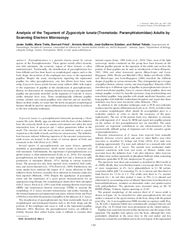 (PDF) Analysis of the Tegument of Zygocotyle lunata (Trematoda ...