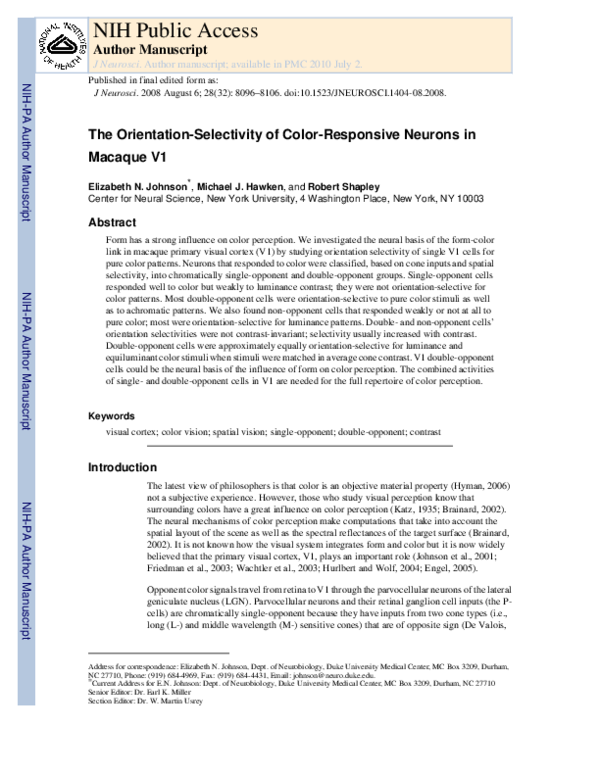 Pdf The Orientation Selectivity Of Color Responsive Neurons In Macaque V1