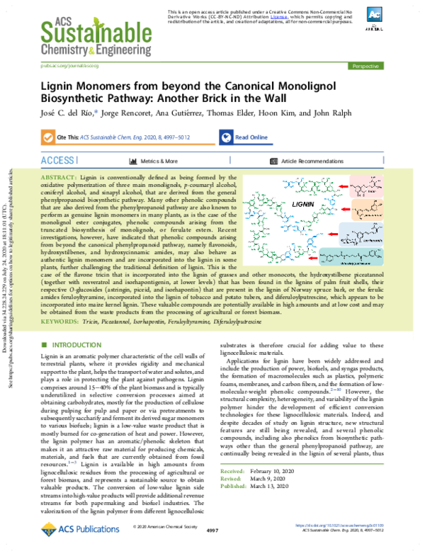 (PDF) Lignin Monomers from beyond the Canonical Monolignol Biosynthetic ...