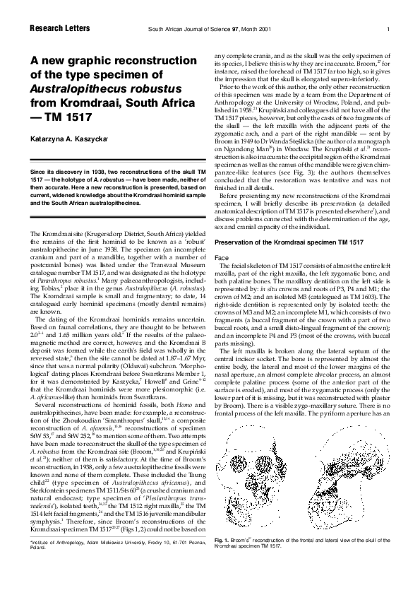 (PDF) A new graphic reconstruction of the type specimen of ...