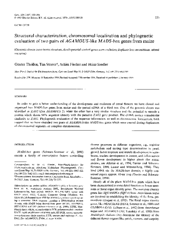 (PDF) Characterization of AGAMOUS-like Genes in Maize