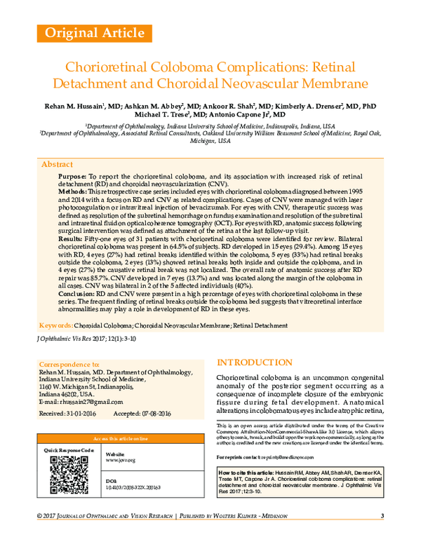 (PDF) Chorioretinal coloboma complications: retinal detachment and ...