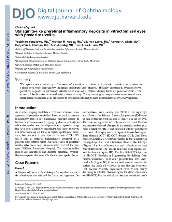 (PDF) Stalagmite-like preretinal inflammatory deposits in vitrectomized ...