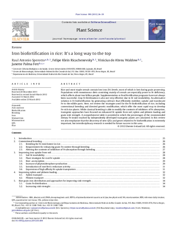 (PDF) Iron biofortification in rice: It's a long way to the top