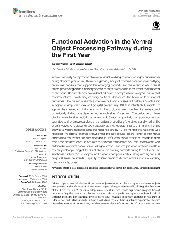 (PDF) Functional Activation in the Ventral Object Processing Pathway during the First Year ...